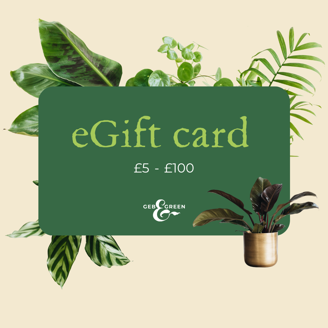 E-Gift Card - Perfect for Plant Enthusiasts – Geb & Green